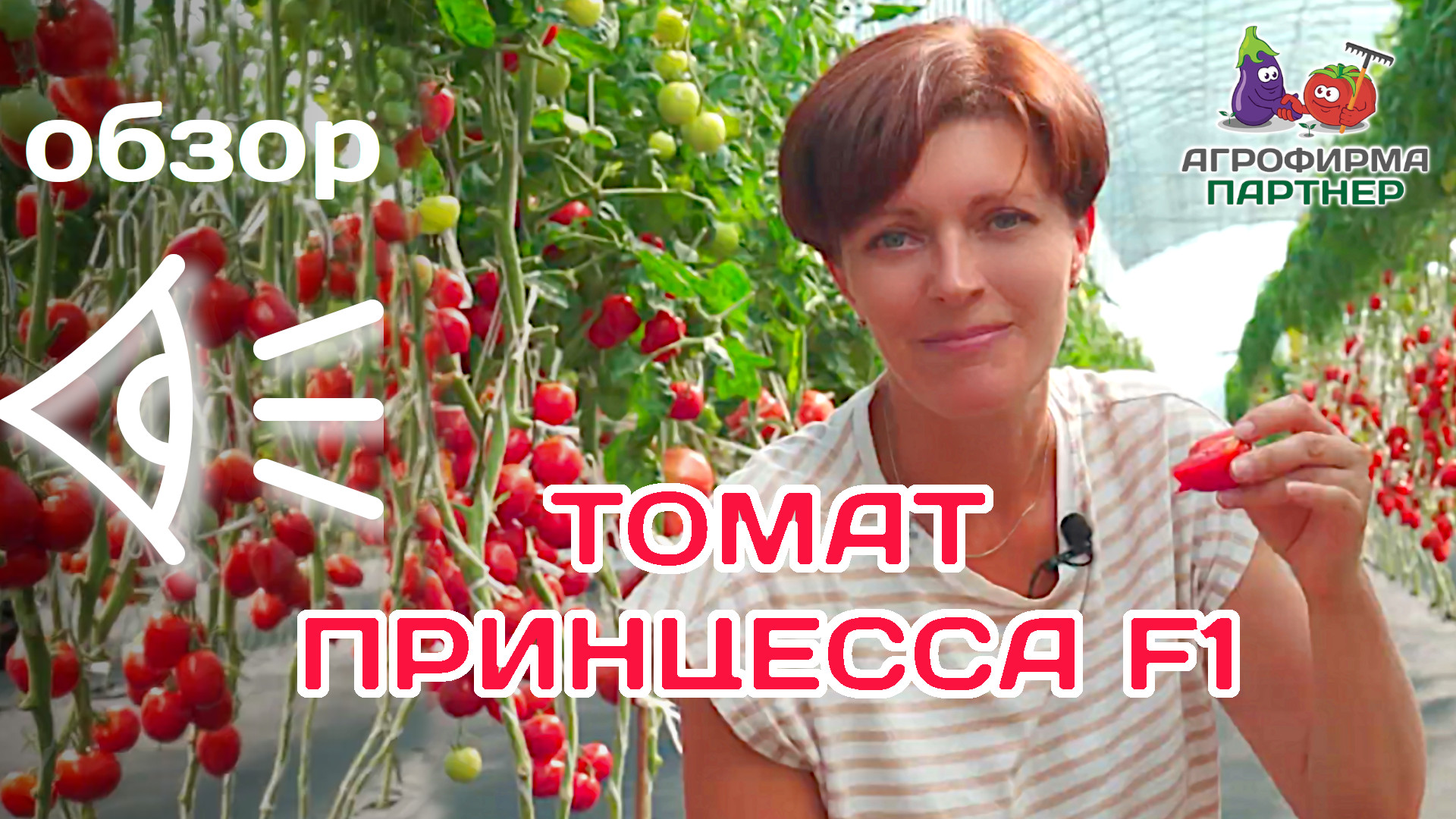 Обзор томата Принцесса F1