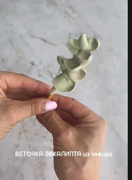 ???ВЕТОЧКА ЭВКАЛИПТА ИЗ ЗЕФИРА❇️?ZEFIR Eucalyptus Branch? от @flowercake_zefir