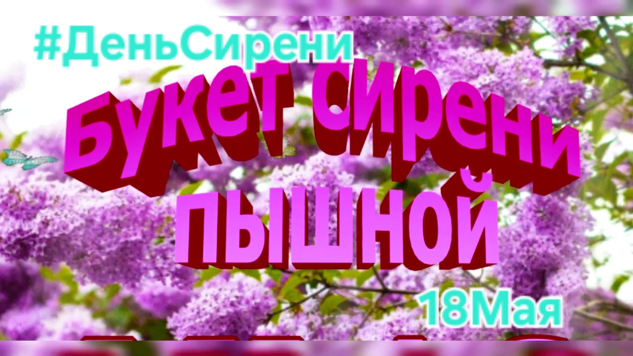 "Париж влечёт но дома слаще" Картины с букетами сирени Живопись #ДеньСирени 18Мая