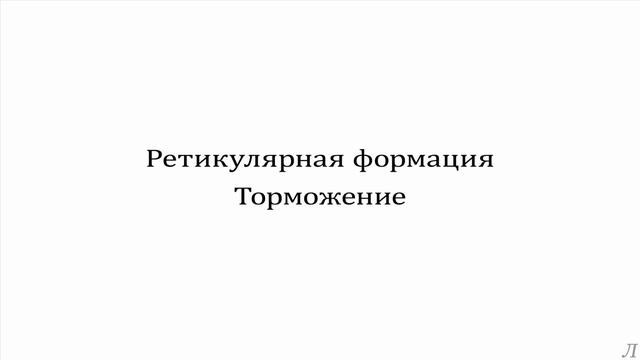 7.6 Эволюция. Ретикулярная формация. Торможение