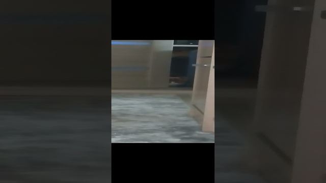 Эксклюзивное видео😼 : Убедительный голод ( Видео взято из нашего Телеграм канала! )