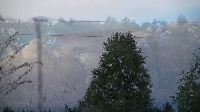 Скоро осень проснётся