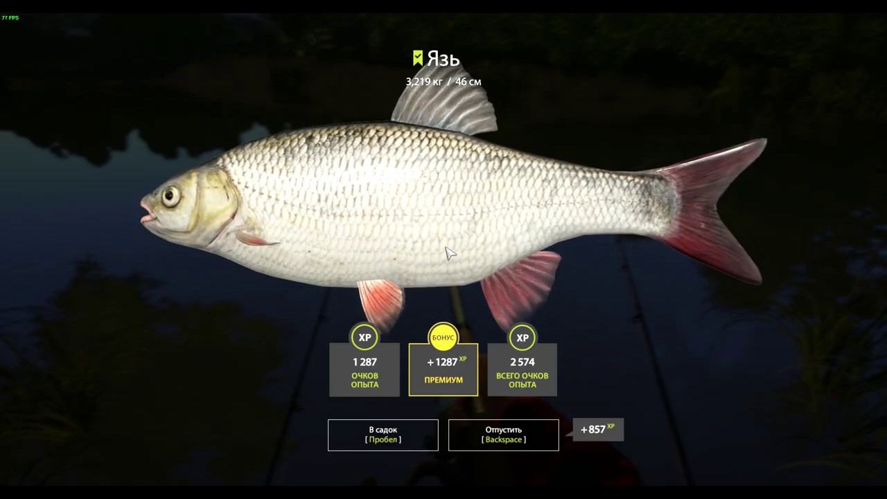 Russian Fishing 4 ЯЗЬ