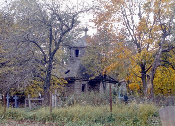 На далекой Родине (исп.сл.муз. Ошнуров А.М.)