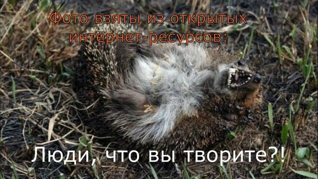 Люди,что вы творите?!