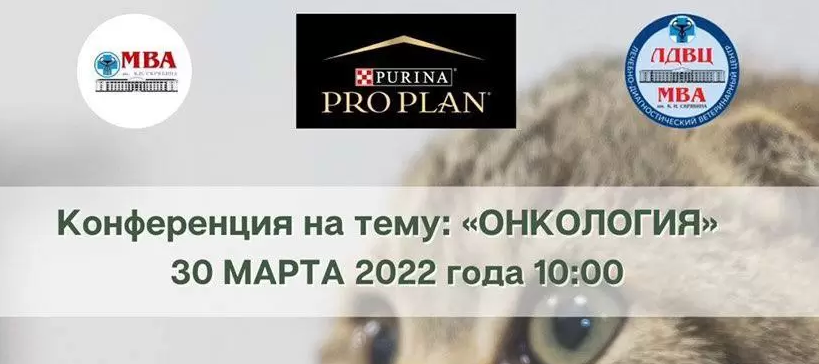 Конференция ЛДВЦ МВА «Онкология»