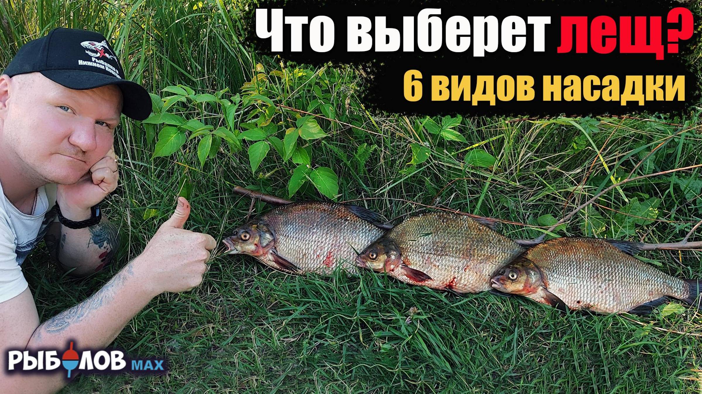 На что ловить леща осенью. Что выберет лещ? Что нужно знать чтобы поймать? Как ловить Крупного Леща