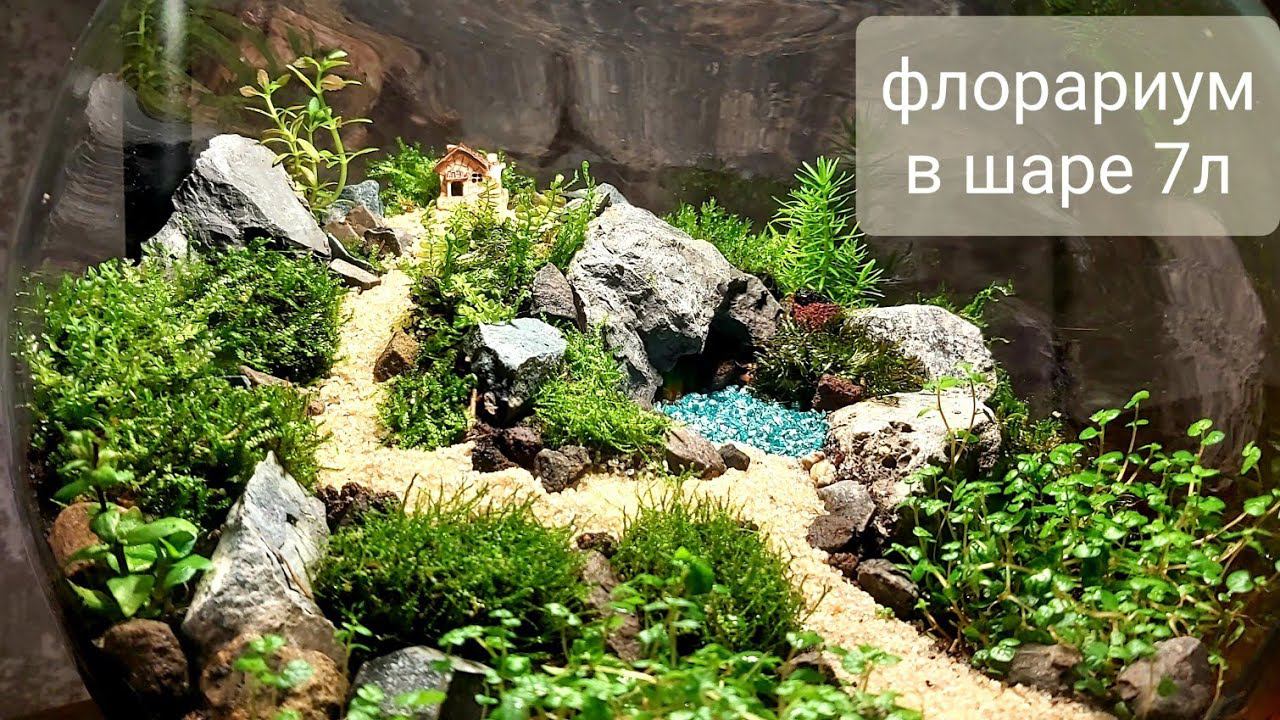 Флорариум в шаре 7л