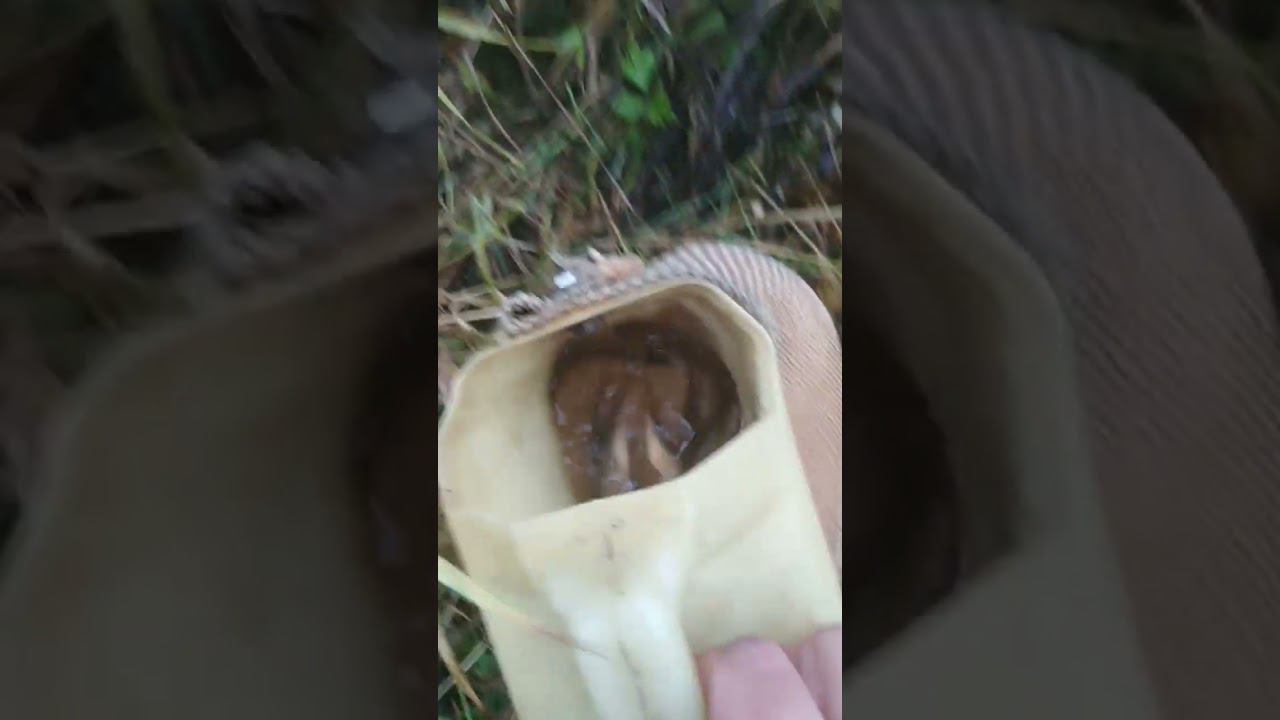 Утренняя рыбалка☺️