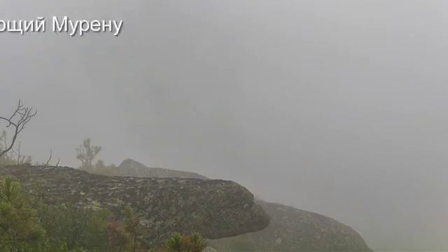 Ергаки.Радиалка на висячий камень 12  и15 июля 2019 часть .4