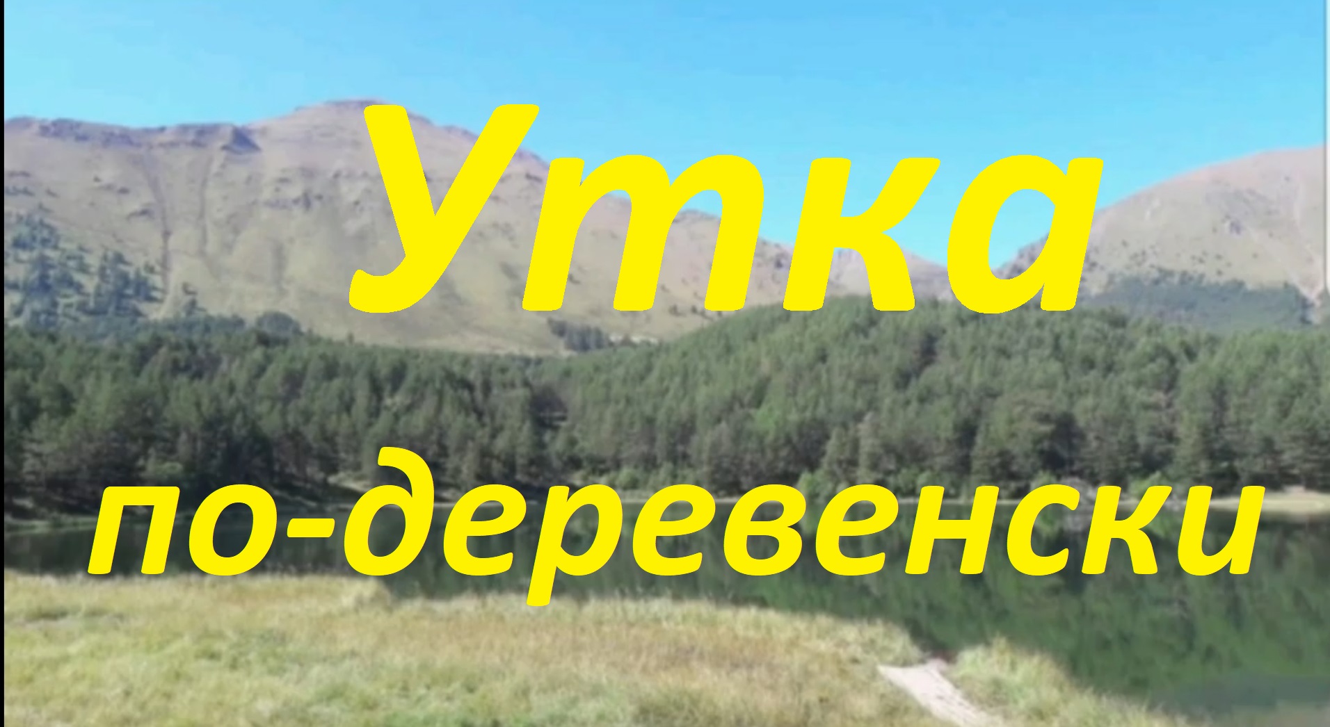 16. Утка по деревенски
