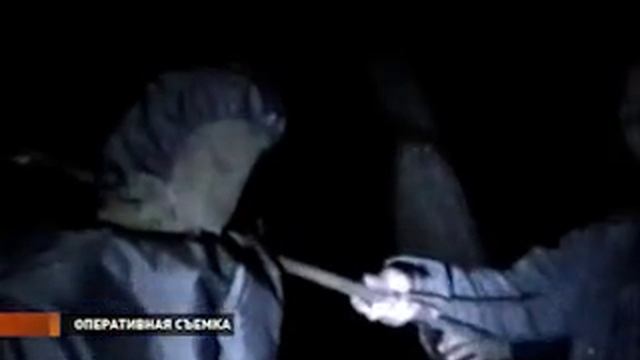 Гестапо на дому: малышей в Урицком районе родители держали на цепи. Вендетта по-верховски: убийство,