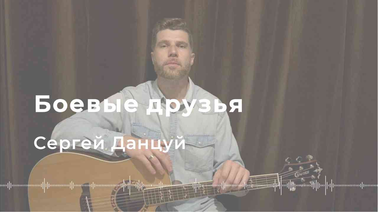 БОЕВЫЕ ДРУЗЬЯ