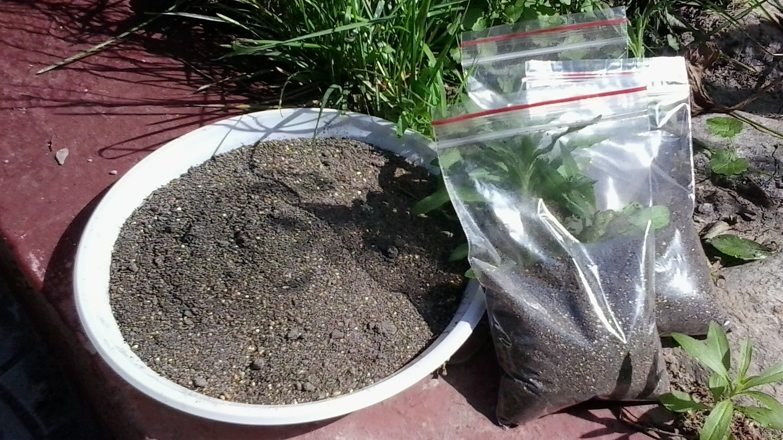 Предприятие производства удобрений и рекультивантов из сапропеля