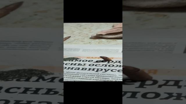 Разбираю патрон ТТ (ППШ).mp4