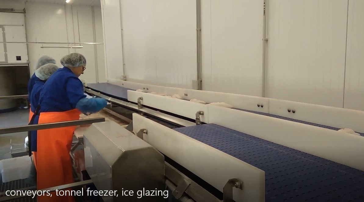 Конвейеры для рыбы, тоннельный фризер, глазировка филе