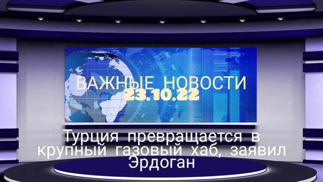 Турция превращается в крупный газовый хаб, заявил Эрдоган