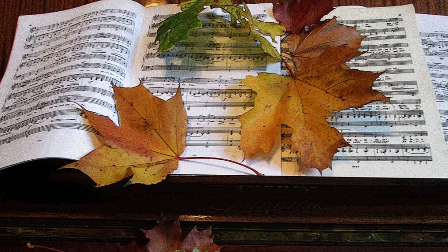 Песня: "НАРИСУЮ ДОМ". Музыка, слова, бэк-вокал, аранжировка, исполнение — Елены Артёменко.