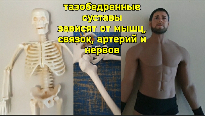 Беспокоят тазобедренные суставы? Укрепите среднюю ягодичную мышцу, освободите её артерию и нерв