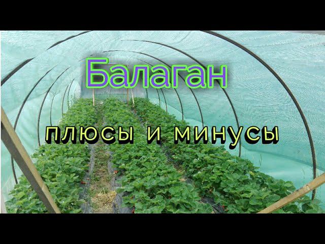 Плюсы и минусы балаганов.