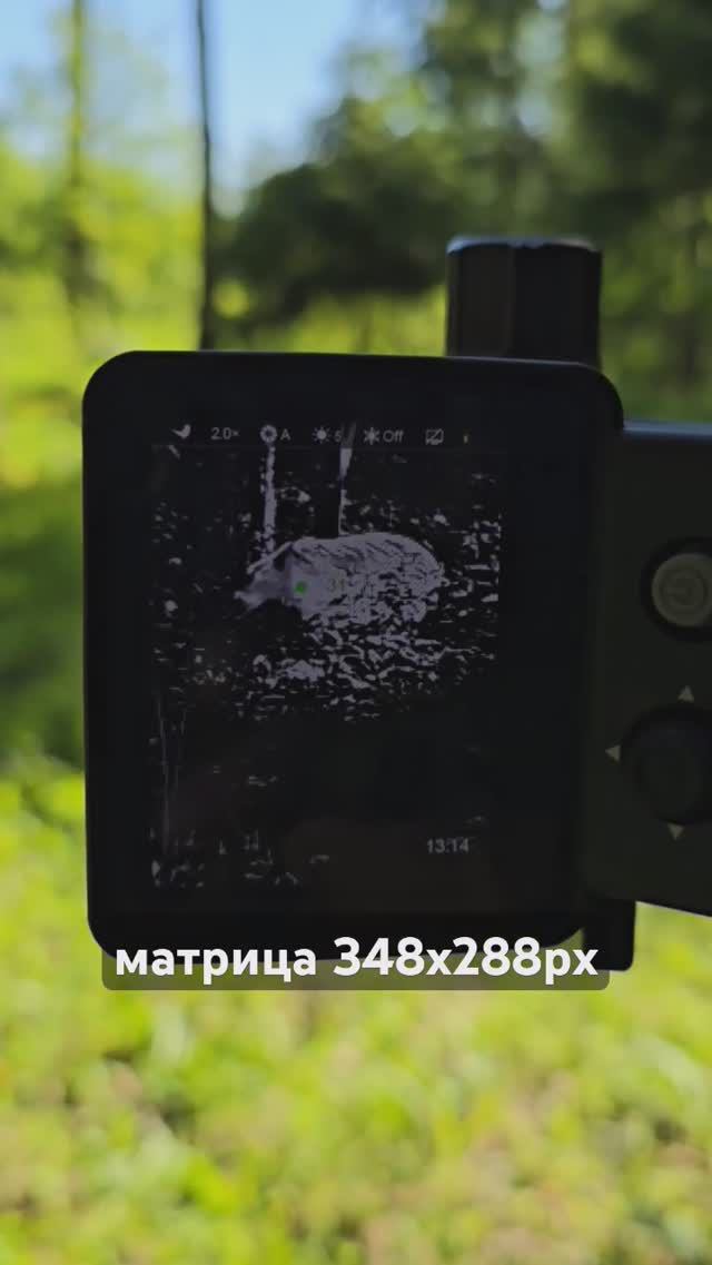ПРИСТРЕЛКА ПРИЦЕЛА | ТЕПЛОВИЗОР ДЛЯ ЛУКА #shorts #sight #archery #hunting