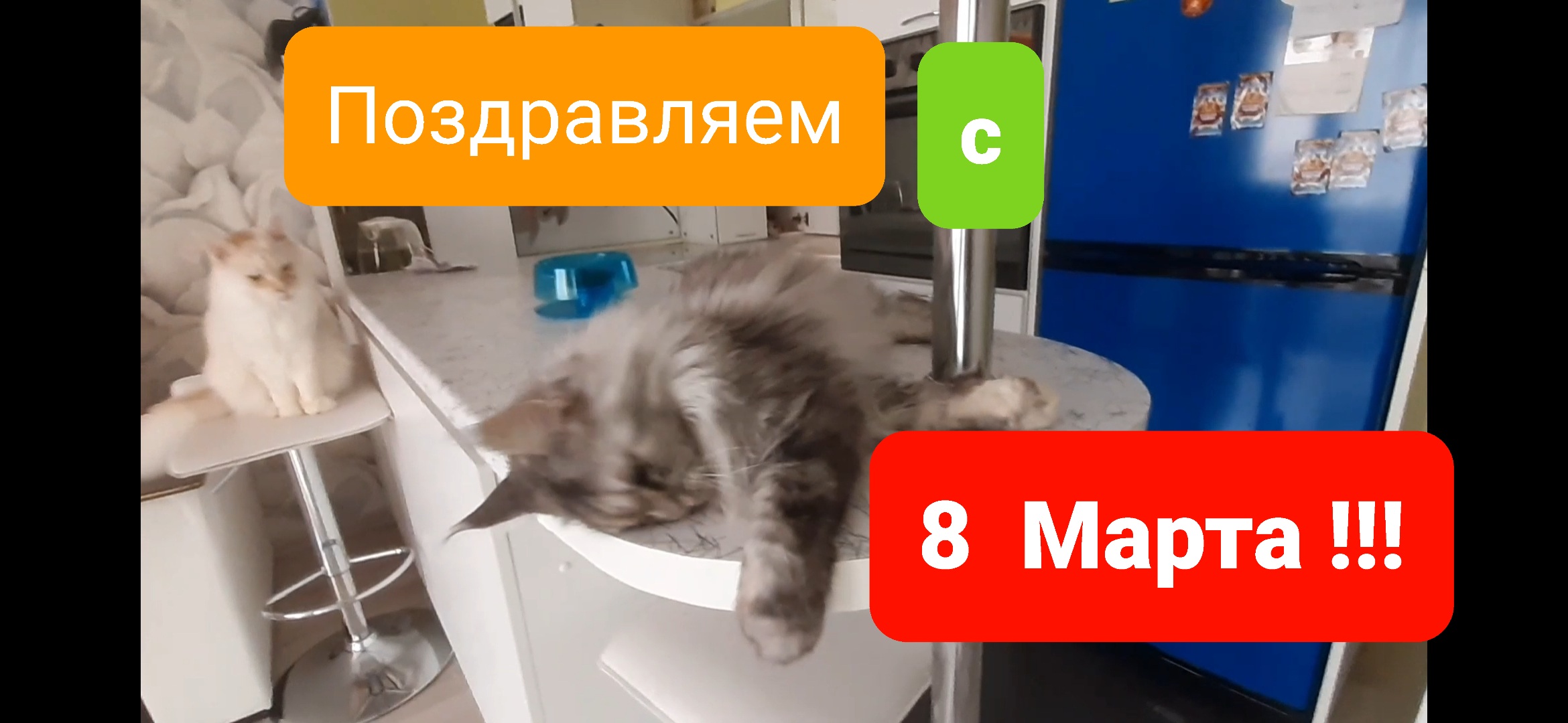 С 8 Марта!!! ????