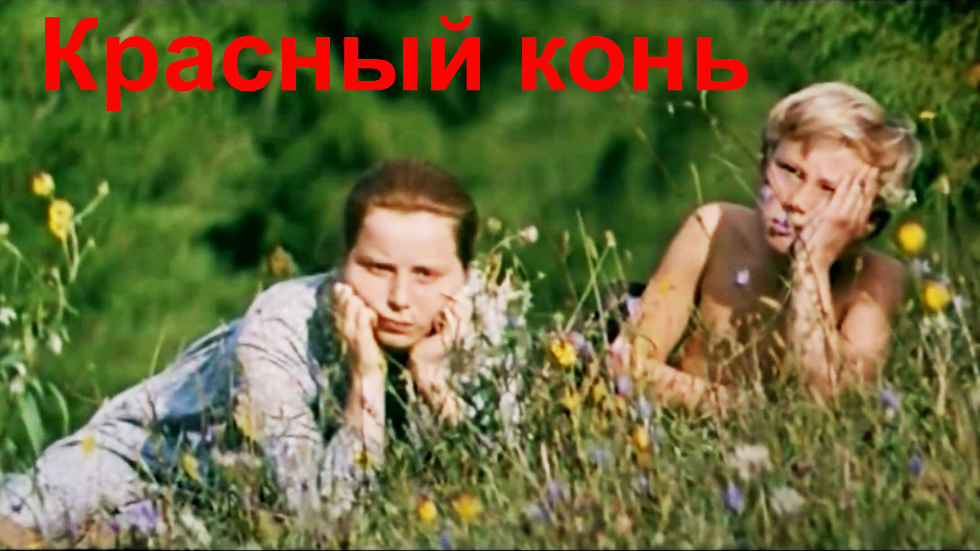 Красный конь.  Из фильма.  1978