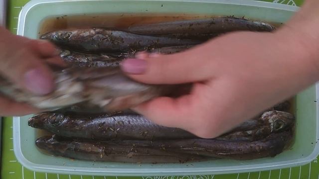 Вяленая путассу в домашних условиях.