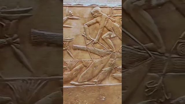 Гробница Саккары #египет #древнийегипет #история #пирамиды #путешествие