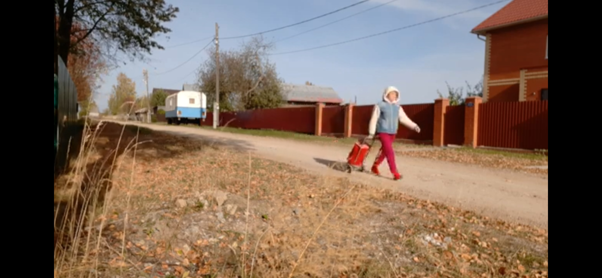 На даче. 2 октября 2022 года.