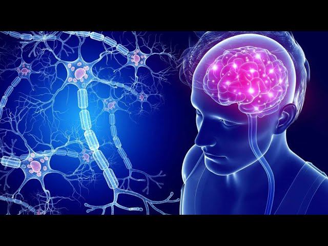 Отказ от алкоголя и курения. Гортоновика, метод Г.А.Шичко.