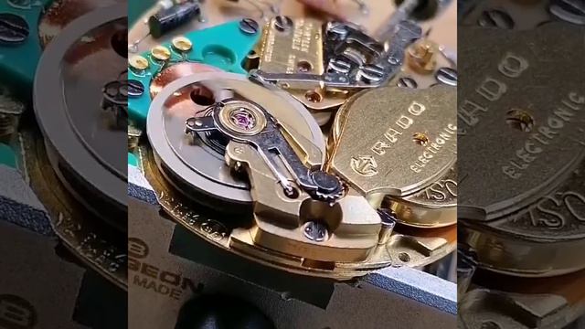 VID_20240609_142447_161.mp4