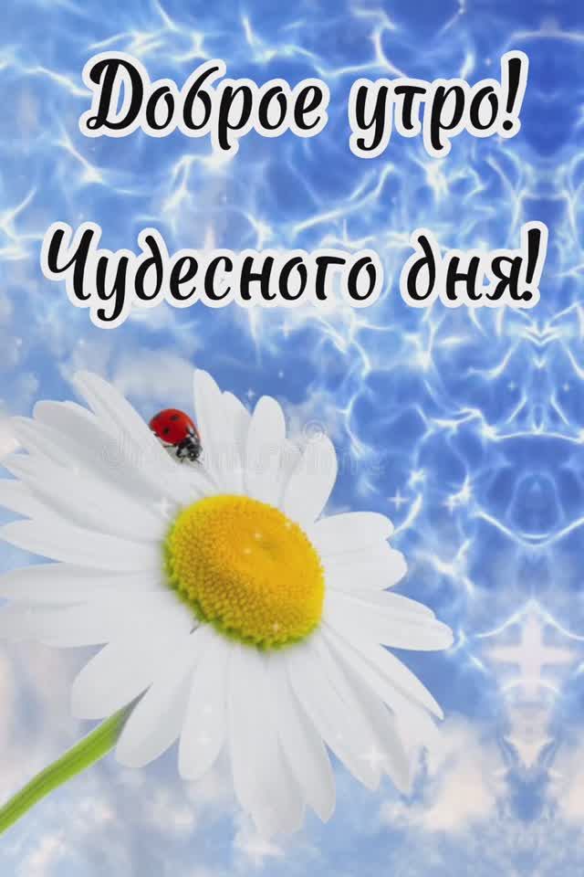 Доброе утро! Чудесного дня!