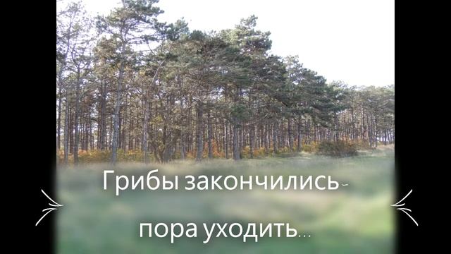 Осень в Керчи