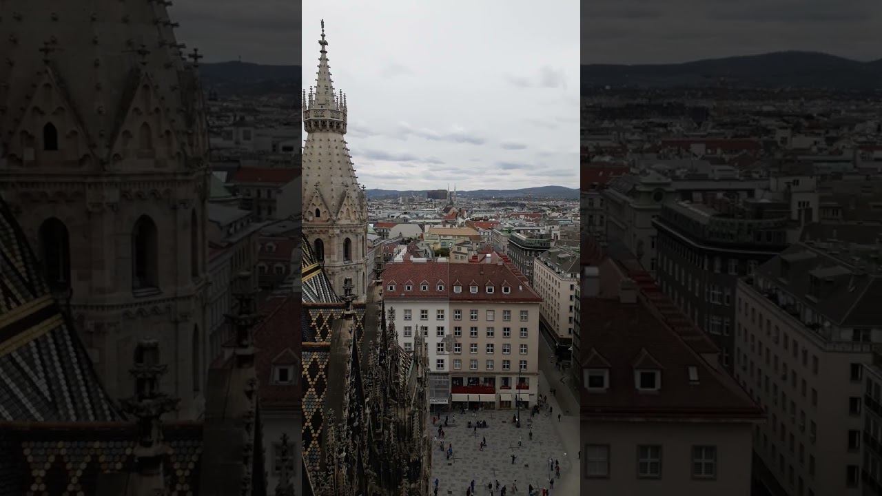 Собор святого Стефана Вена