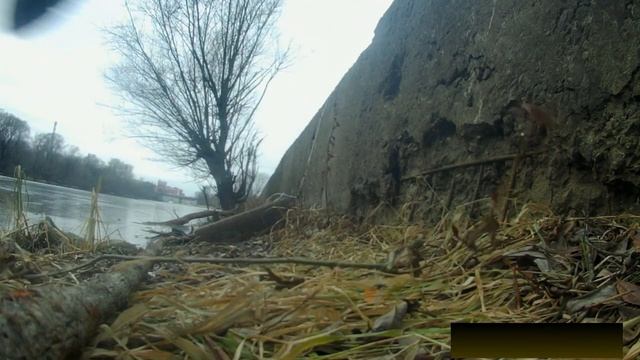 Качаем мышцы на свежем воздухе в ОреховоЗуево #146.mp4