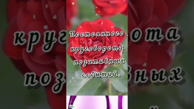 С ДНЁМ РОЖДЕНИЯ!