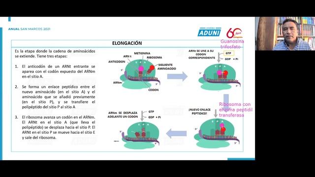 San Marcos Anual 2021 | Semana 09 Biología Sesión 02