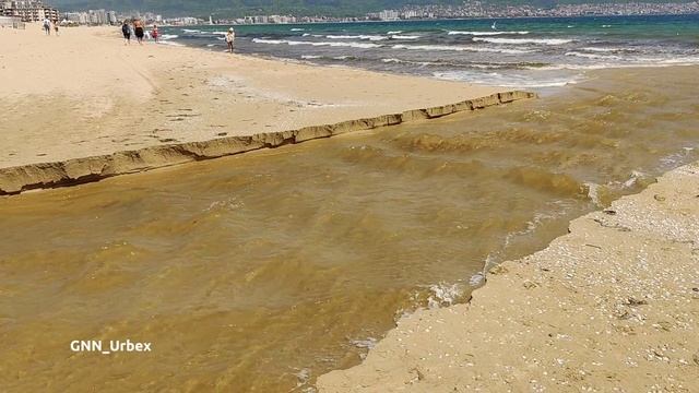 Солнечный берег #1