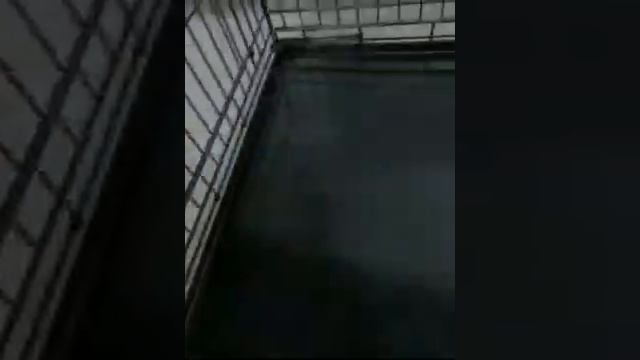 Клетка для собак wikiLAB