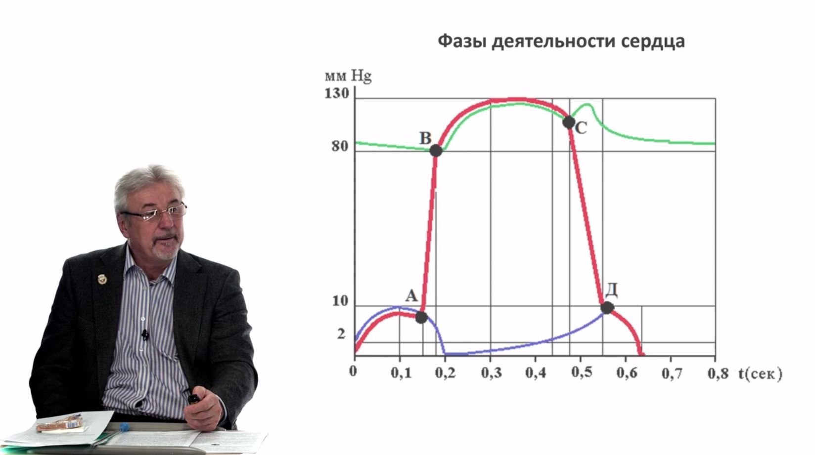 Евсеев А.В. Нормальная физиология. Лекция №12. Фазы и физические проявления деятельности сердца.2023