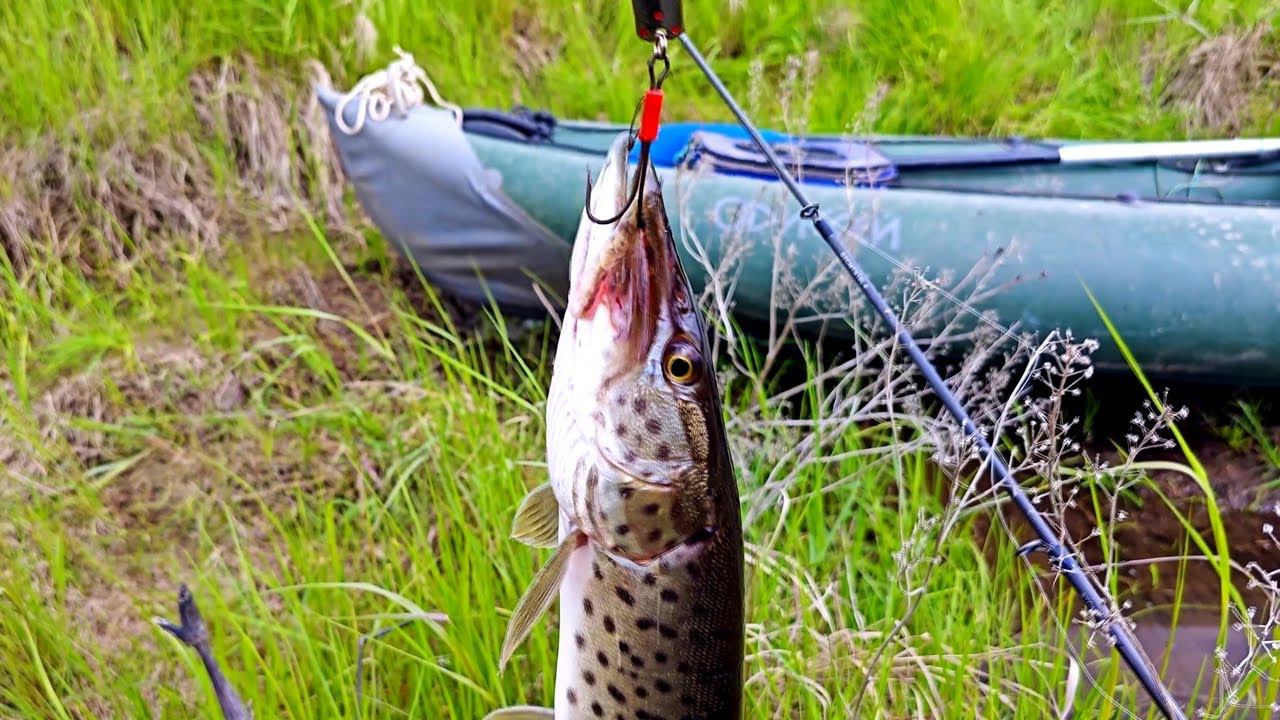 Разведка новой речки - рыба есть, на спиннинг ловится!