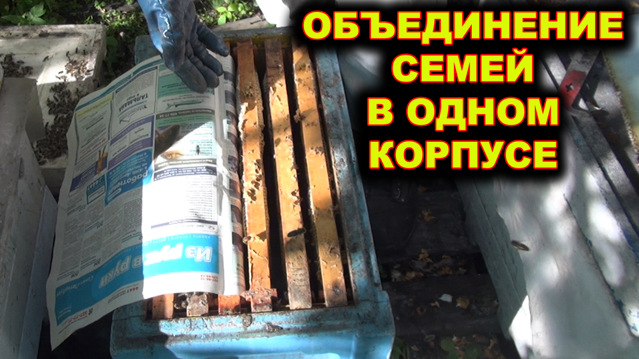 Объединение маленьких семей в одном корпусе.