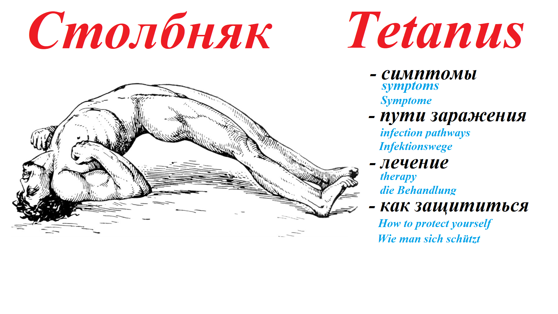 Дикая природа. Столбняк. Как защититься