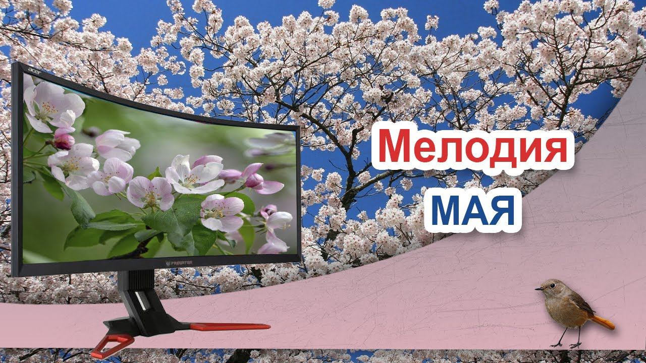 Майское цветение Красота весны