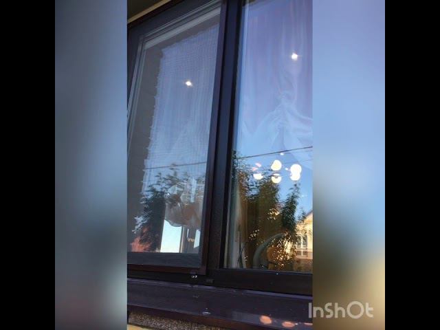 Австрийская штора вид с улицы