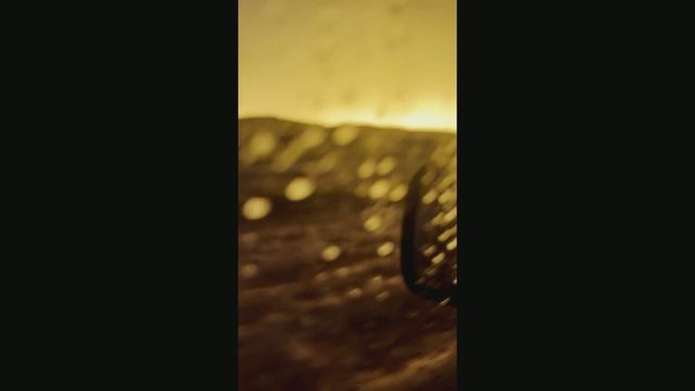 Монолия. Едем в Россию_5.mp4