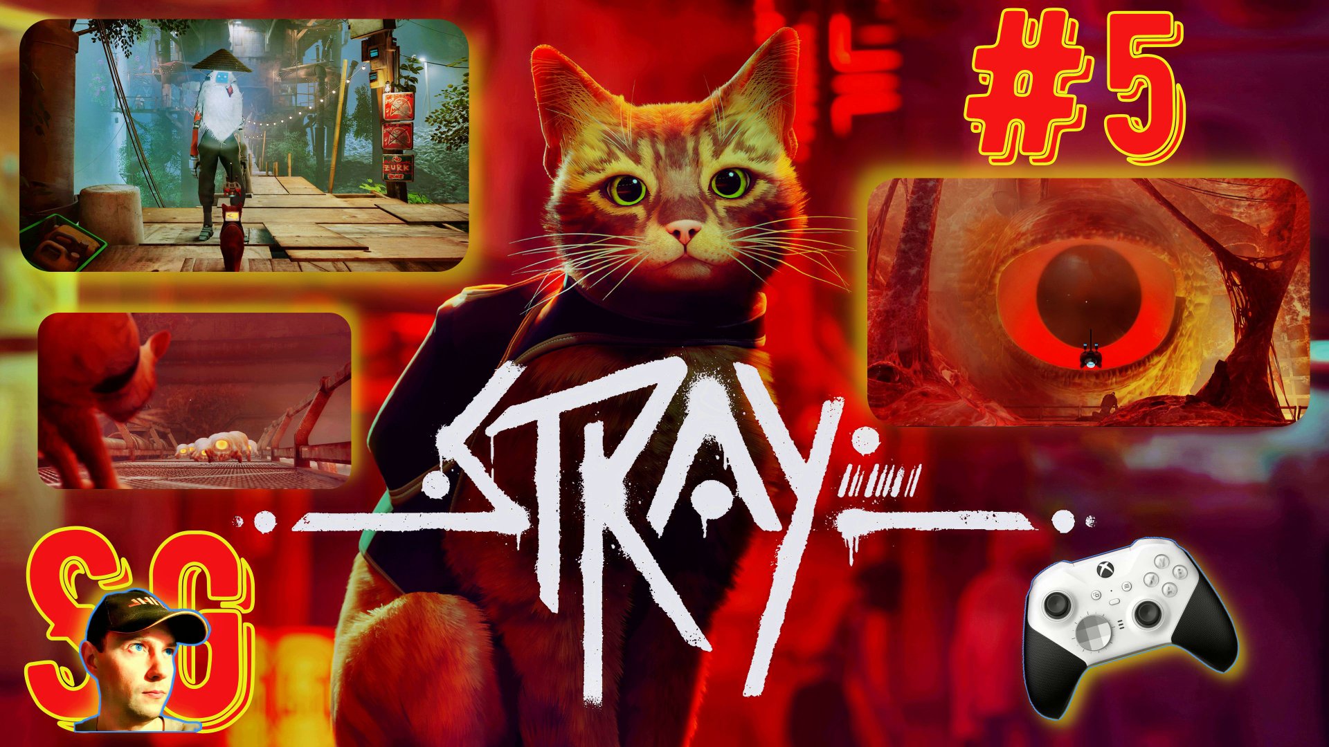 #5. Stray. Бродячий кот. Симулятор кота. Приключение котэ. Нелегкий путь через катакомбы в Мидтаун.