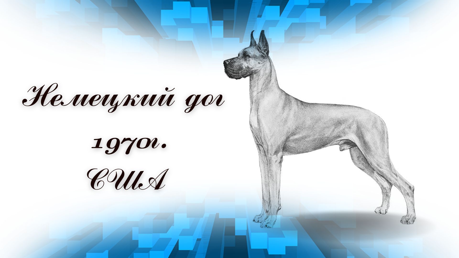 1970 Немецкий дог
