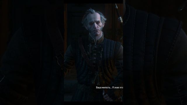 Ведьмак 3. За всей интригой стоит Сианна